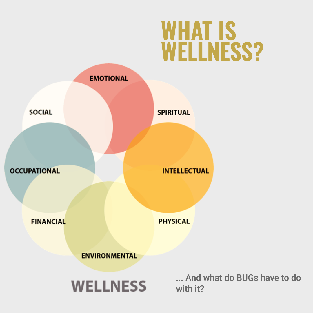 What is Wellness – Very Average Wellness